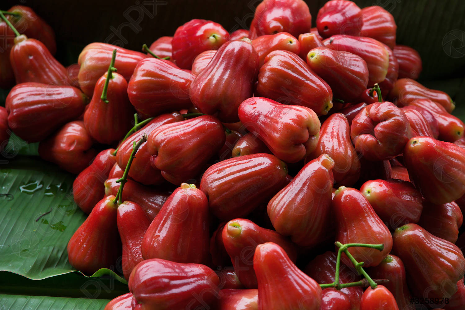 10 Most Delicious Fruits In Vietnam – DUDE OI